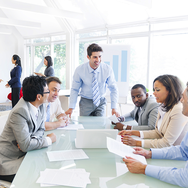 Emerald System Integrators